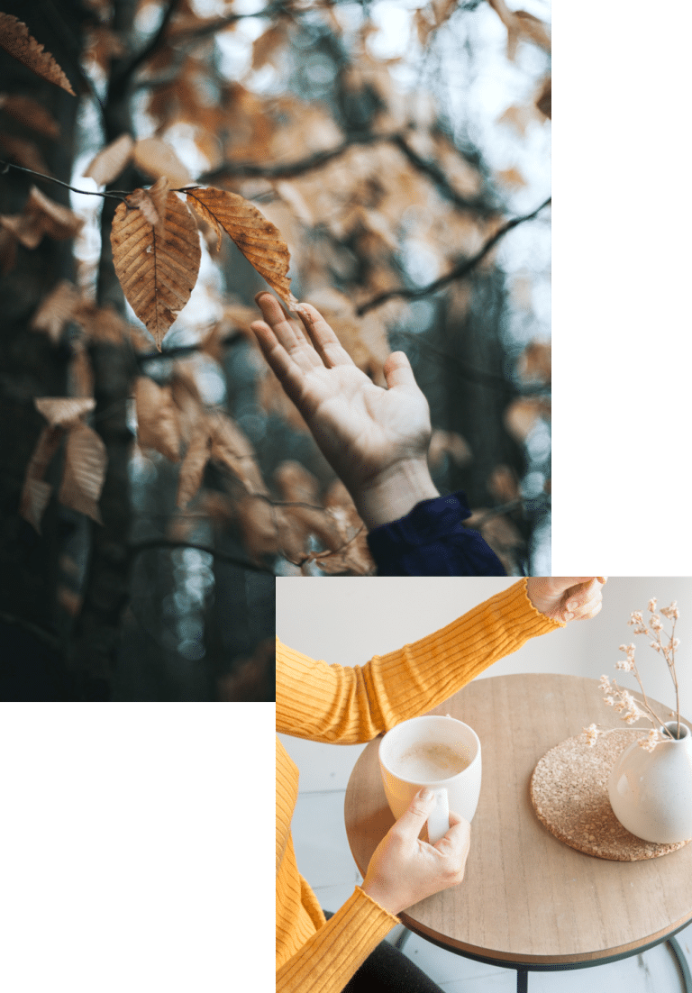 Bethany Webster - Mother Wound Expert and Author